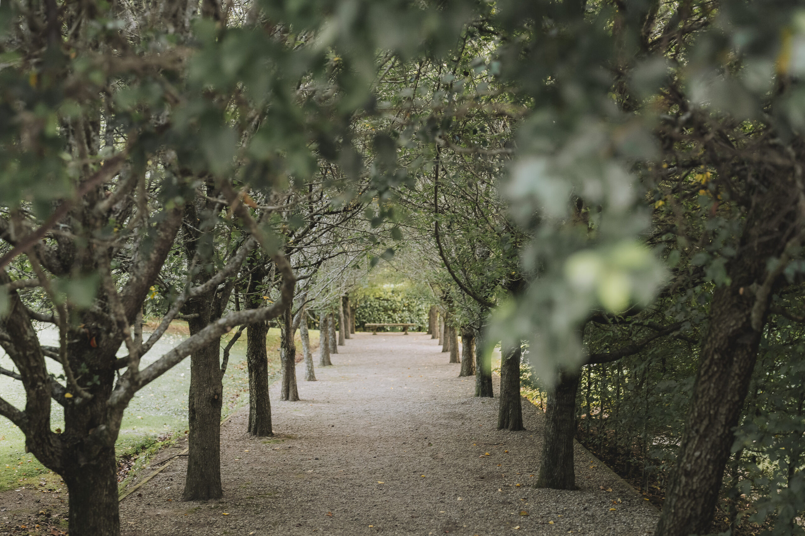 Ātaahua - Bay of Plenty Garden and Art Festival