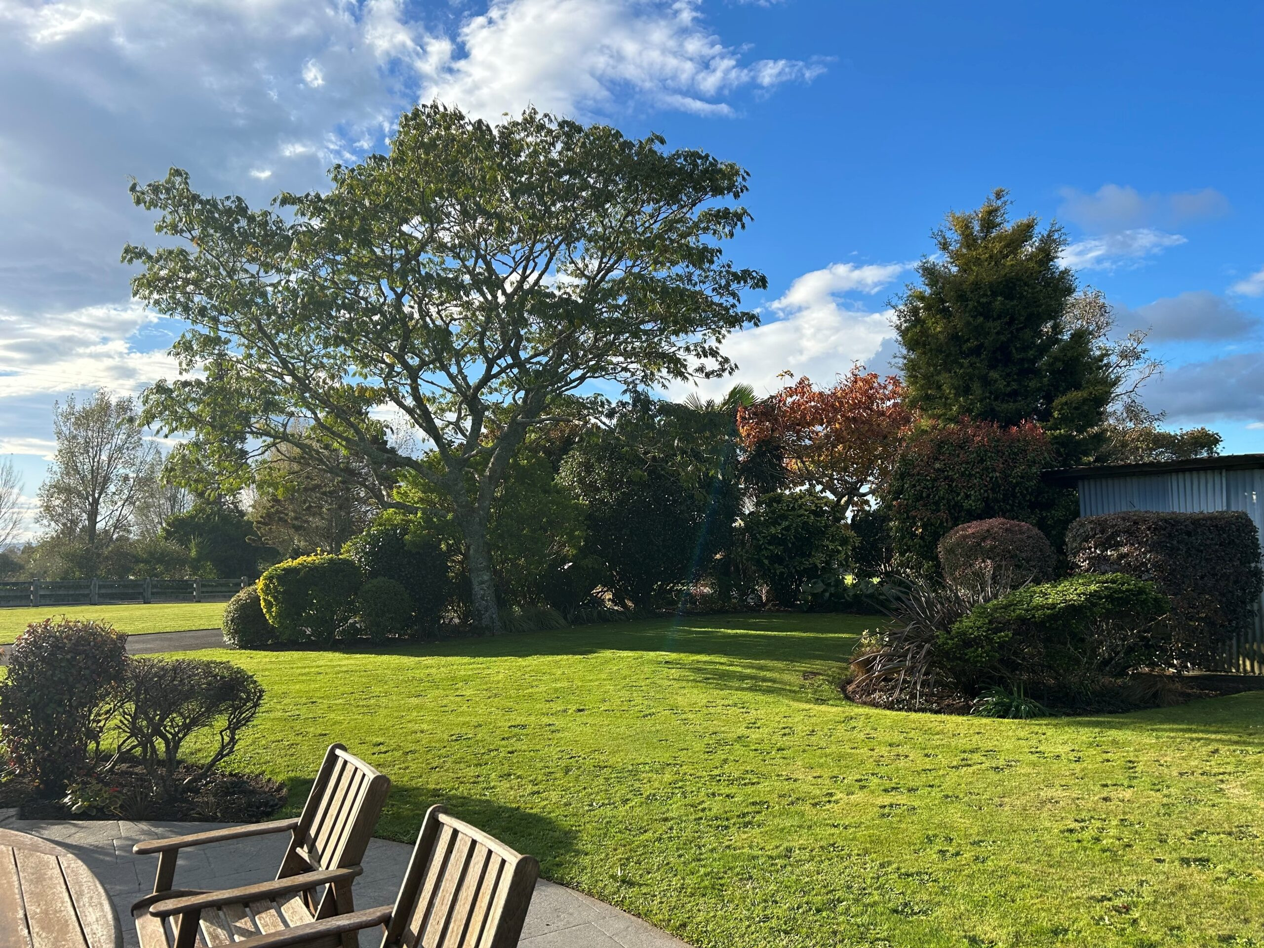 Andrea Green's Art Studio - Bay of Plenty Garden and Art Festival