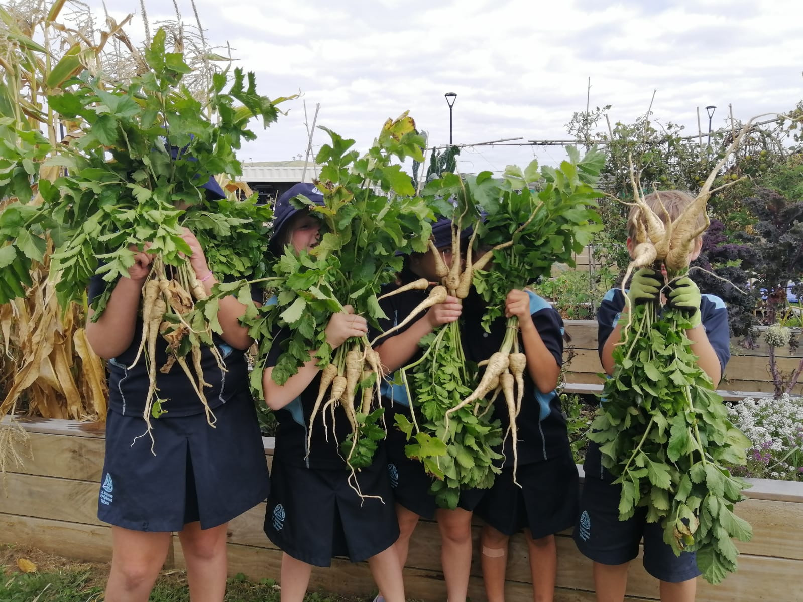 Te Manawa o Papamoa School Garden - Bay of Plenty Garden and Art Festival