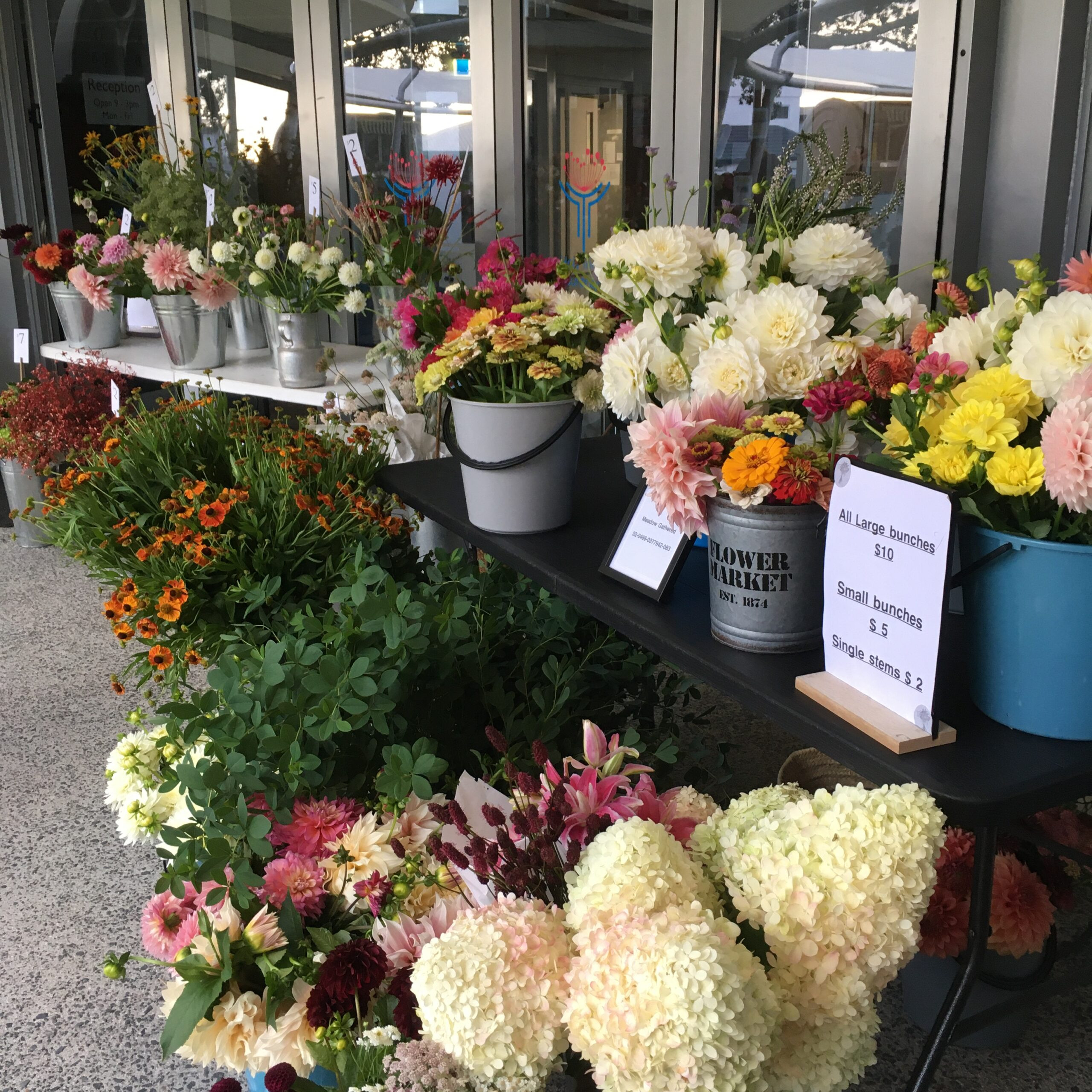 The Floral Hub Tauranga - Bay of Plenty Garden and Art Festival